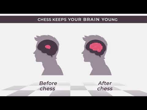 Does Chess Improve Cognitive Skills? YES!