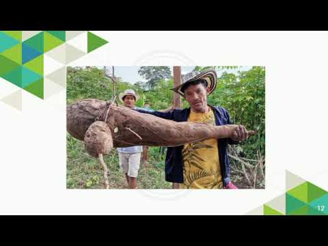 Clima , fauna y flora del departamento de Córdoba