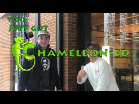Social Psychology - Chameleon Effect