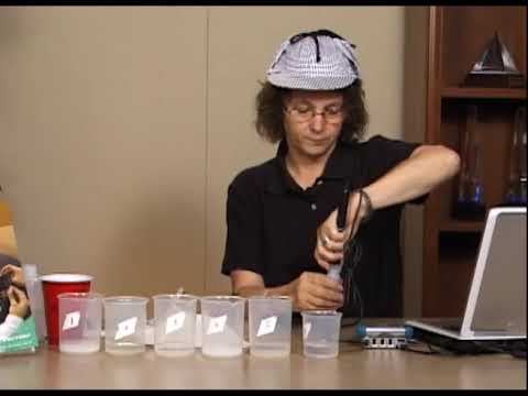 Drug Test (LabQuest)