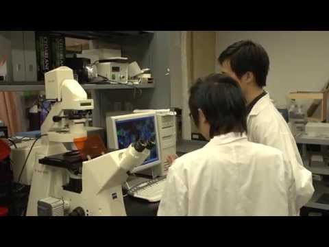 The Department of Medical Imaging at the University of Toronto
