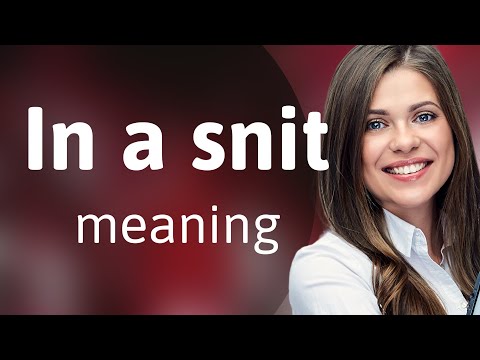 Unraveling Idioms: "In a Snit" Demystified!