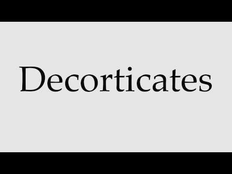 How to Pronounce Decorticates