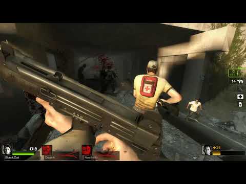 Steam Community :: Video :: Zombie Realism L4D2 Gameplay