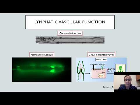 Joshua Scallan: Methods to Study Lymphatic Contractility and Permeability