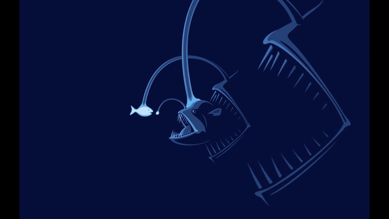 Biolumigen - Akuna Marana [Visualization]