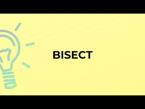 What is the meaning of the word BISECT?
