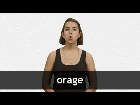 English Translation of “ORAGE” | Collins French-English Dictionary