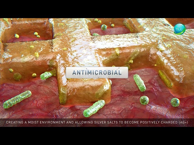 Urgotul Ag - Silver contact layer dressing Manufacturer from Chennai