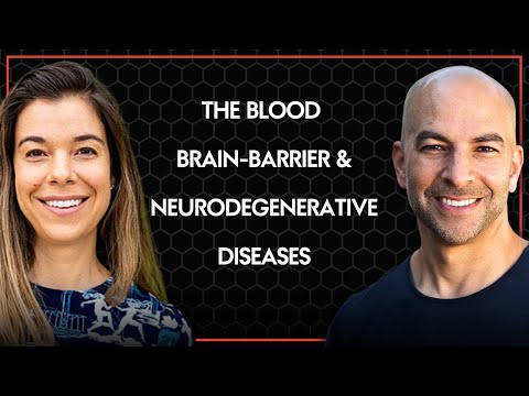 What is the blood-brain barrier and what role does it play in neurodegenerative disease?