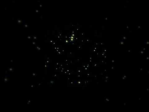 No Copyright Video, Copyright Free, Motion Graphics, Background, Animation, yellow screen, star