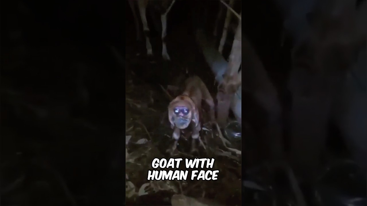 Real Life Animal Mutations That Are A Living Nightmare