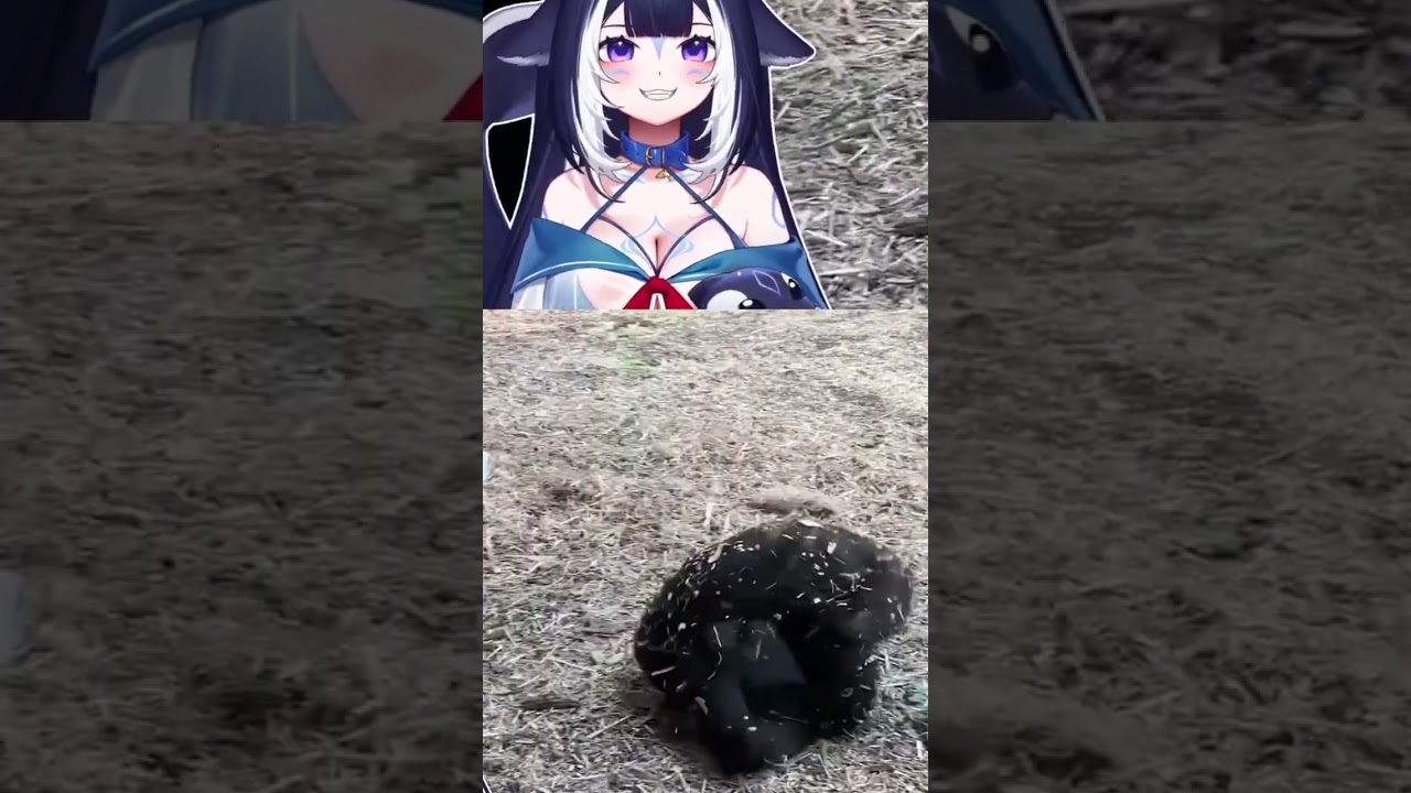 Shylily CAUGHT Numi in 4K! #shylily #vtuber #numi #nihmune #akumanihmune