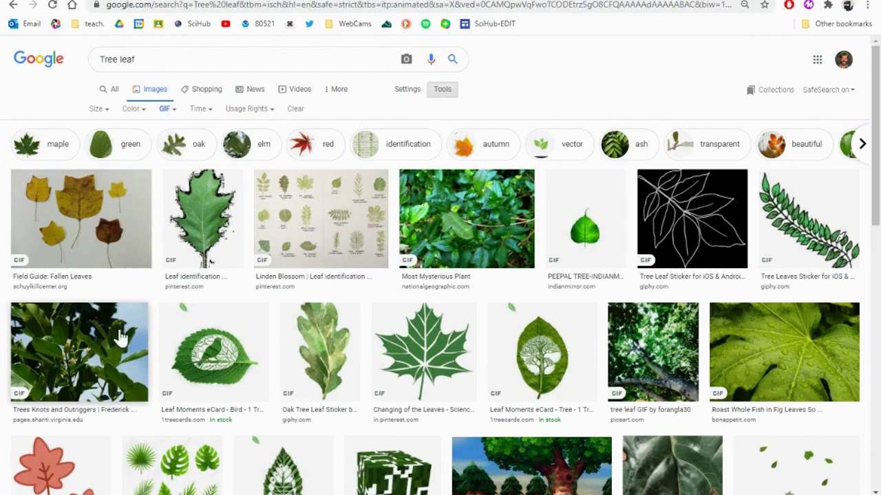 How to Search for GIFs in Google Images