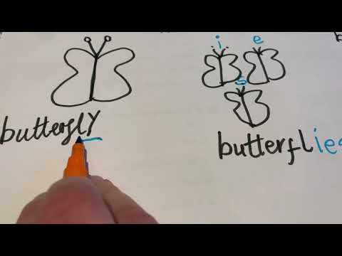 Plural endings and when to use s or ies on words ending in y