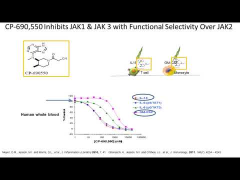 CYTOKINE SIGNALING Are all JAK inhibitors the same?