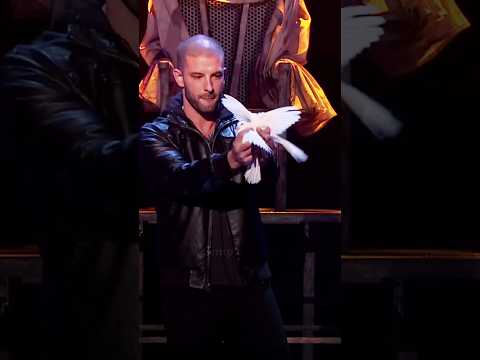 Best Magician @DarcyOake #illusion #magic #britaingottalent