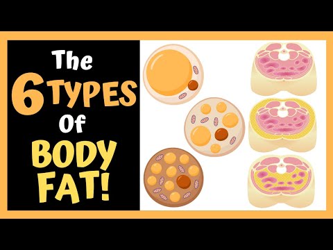 The SIX TYPES Of Body Fat Explained!