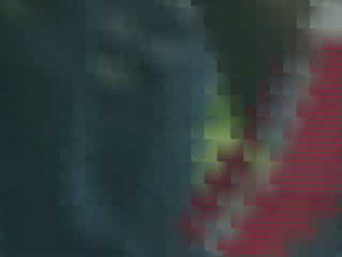 A National Day video by The Online Citizen