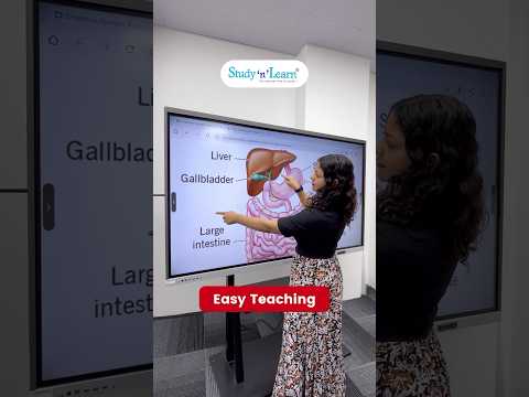 65 Inch Interactive Flat Panel: 75 Inch Smart Board For Teaching - Digital Whiteboard Touch panel