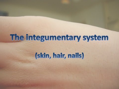 Medical Terminology Pathology of the Integumentary System