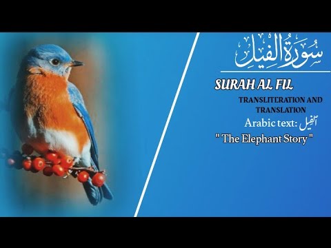 Surah Al Fil Arabic text ٱلف يل is the 105th Surah of