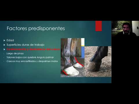 Charla Síndrome Navicular con el Doctor Nicolás Ansoleaga
