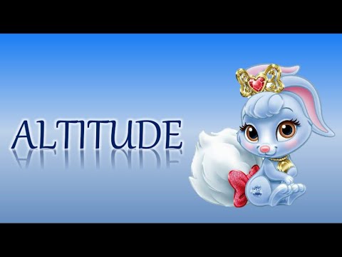 What is an altitude?