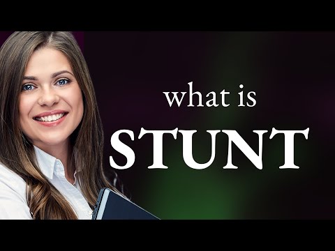 Stunt — definition of STUNT