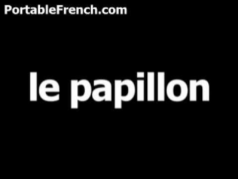 French word for butterfly is le papillon