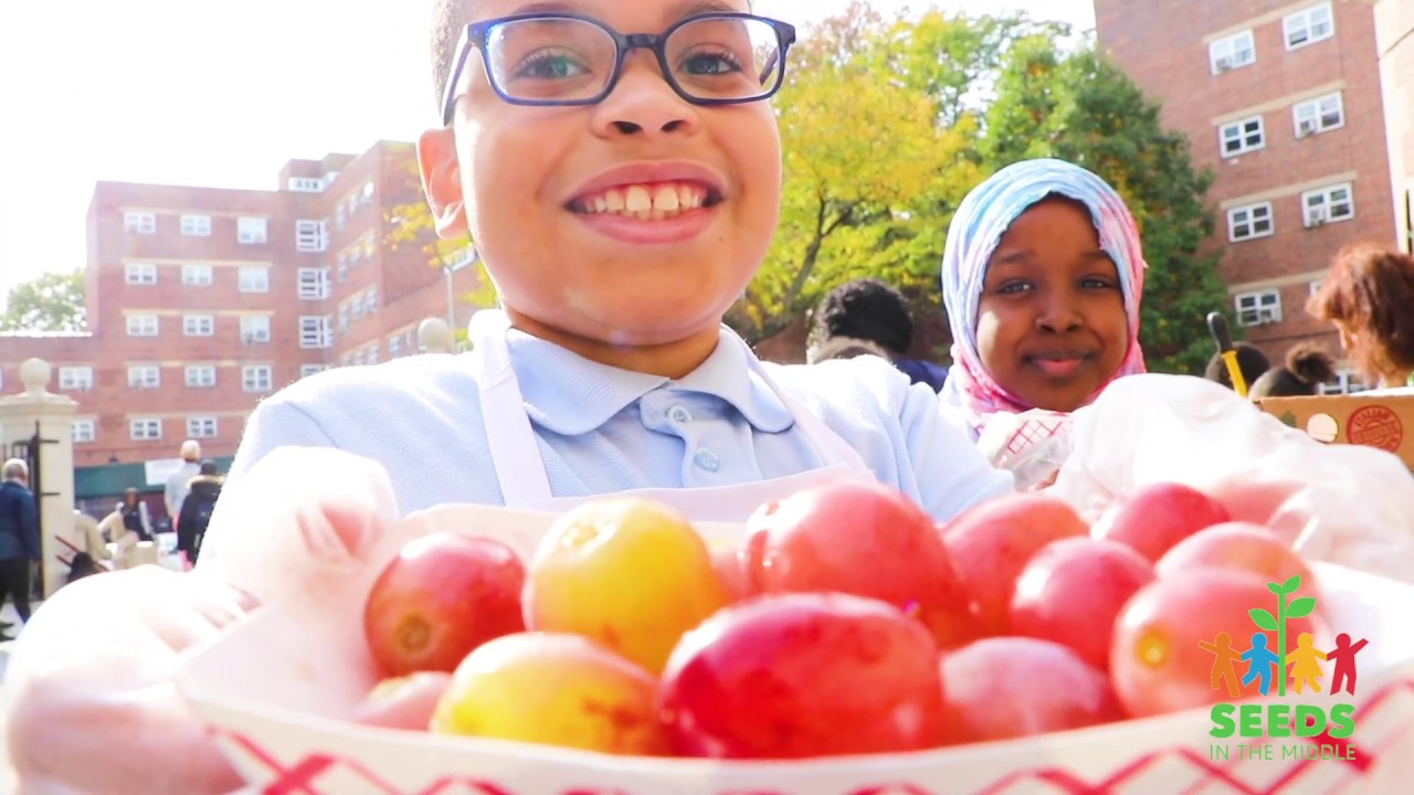 Hip2B Healthy Fresh Food Box/Farmstand at PS 284 | ioby