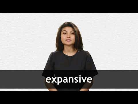 EXPANSIVE - Definition & Translations | Collins English Dictionary