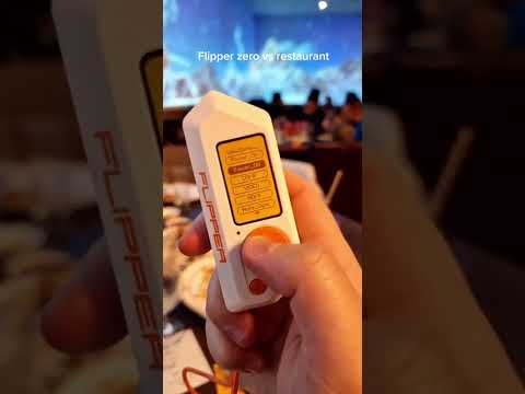 Flipper Zero Vs. Restaurant