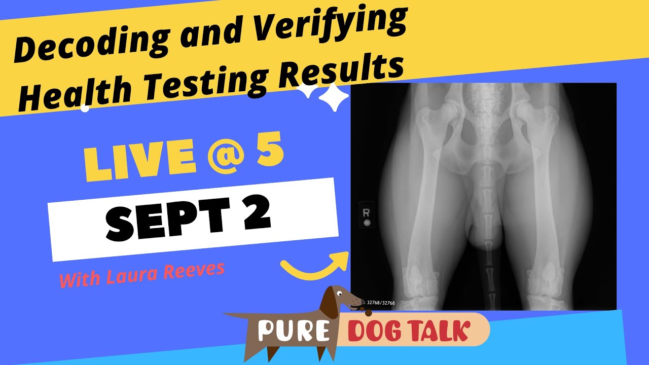 Live @ 5 - Health Testing with Dr. Marty Greer