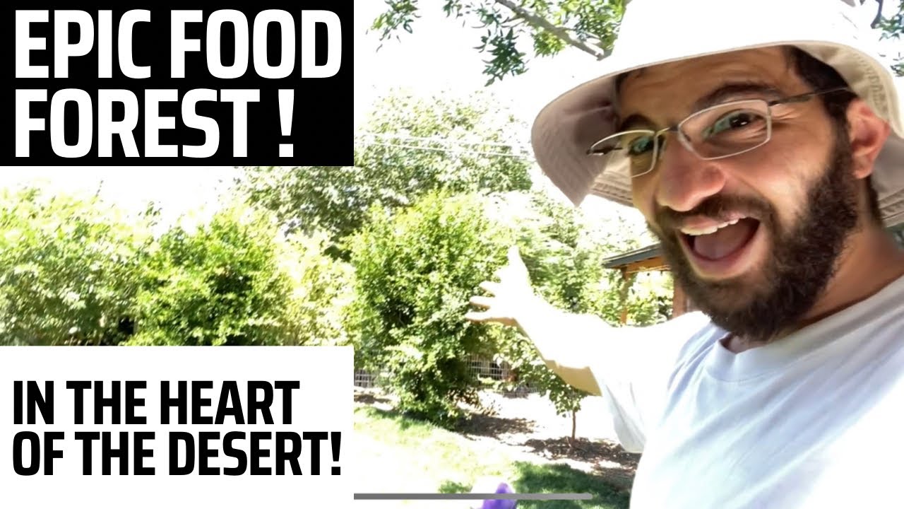Epic Permaculture Garden In The Heart Of The Desert!
