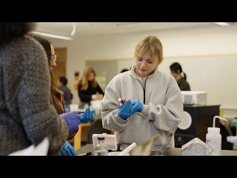 Syracuse University's M.S. in Biotech Program