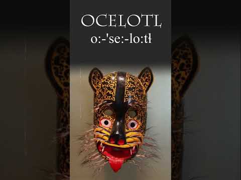 Nahuatl Word of the Week 14: OCELOTL (Jaguar 🐆)