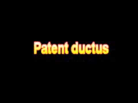 What Is The Definition Of Patent ductus Medical School Terminology Dictionary