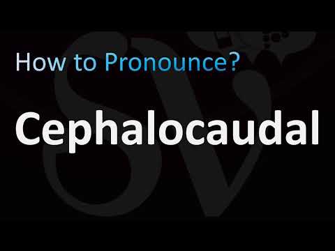 How to Pronounce Cephalocaudal