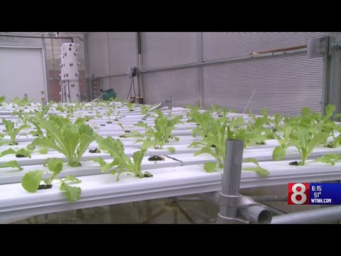 Waterbury food hub a 'game changer for CT farmers and the city