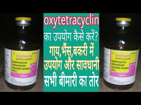 How to use Oxynex injection (oxytetracycline injection) Terramycin ...