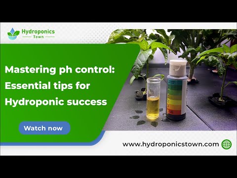 Mastering Ph Control: Essential Tips for Hydroponic Success—Hydroponics Town