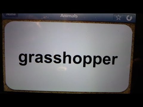 TOP FREE FLASH CARDS APP FOR 2014 MY FIRST WORDS REVIEWED ON APPLE IPHONE 5