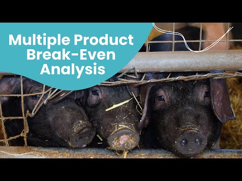 Break-Even Analysis for Multiple Products