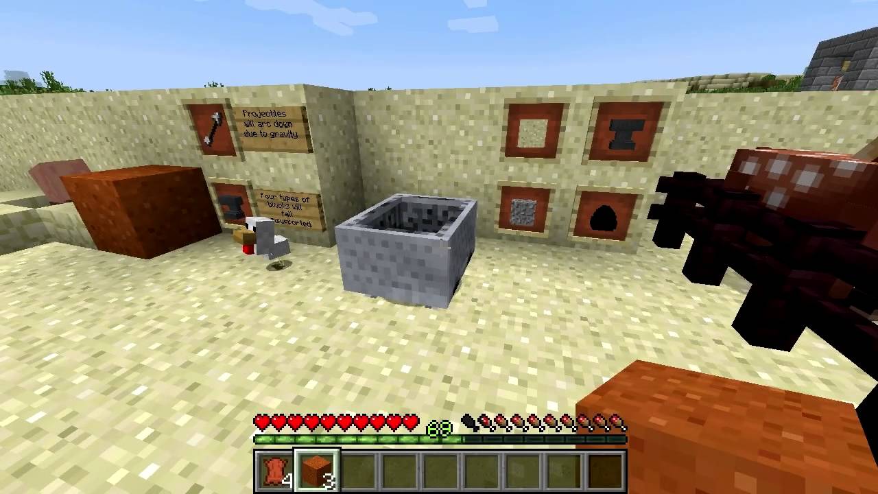 Minecraft Blocks & Items: Entities