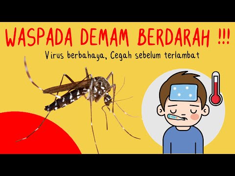 Dengue Fever: Symptoms, Causes, Treatment & How to Prevent It | Beware of Dengue Fever!