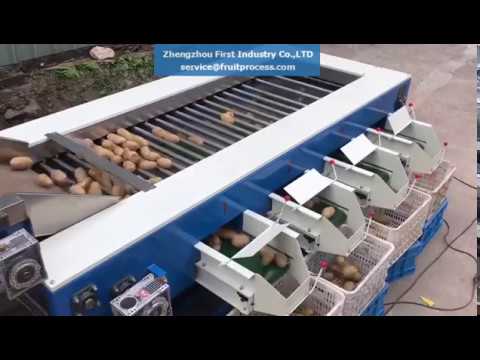 Potato Grading Machine at Best Price in India