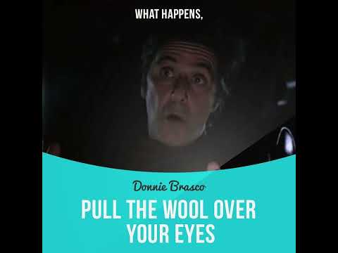 Idiom: Pull the wool over your eyes (meaning, example, pronunciation, movie clip)
