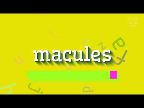 How to say "macules"! (High Quality Voices)