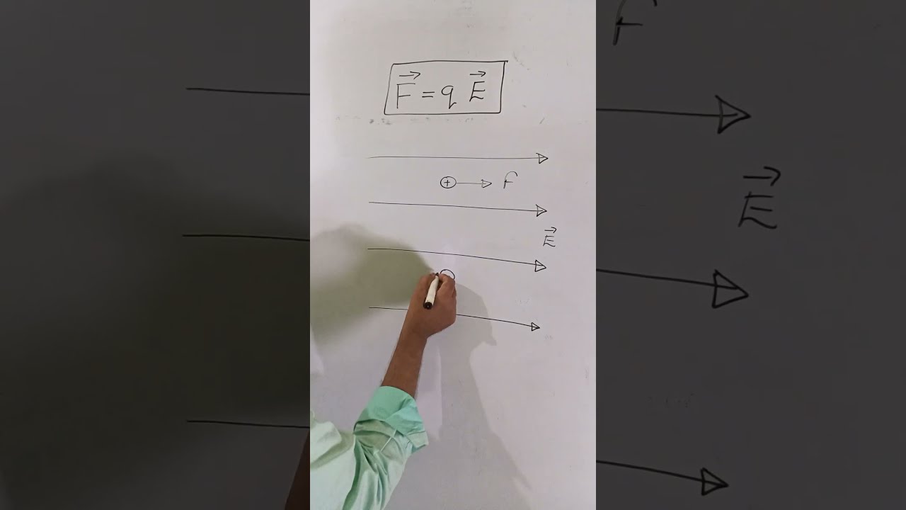 Direction of Force on charge in Electric Field